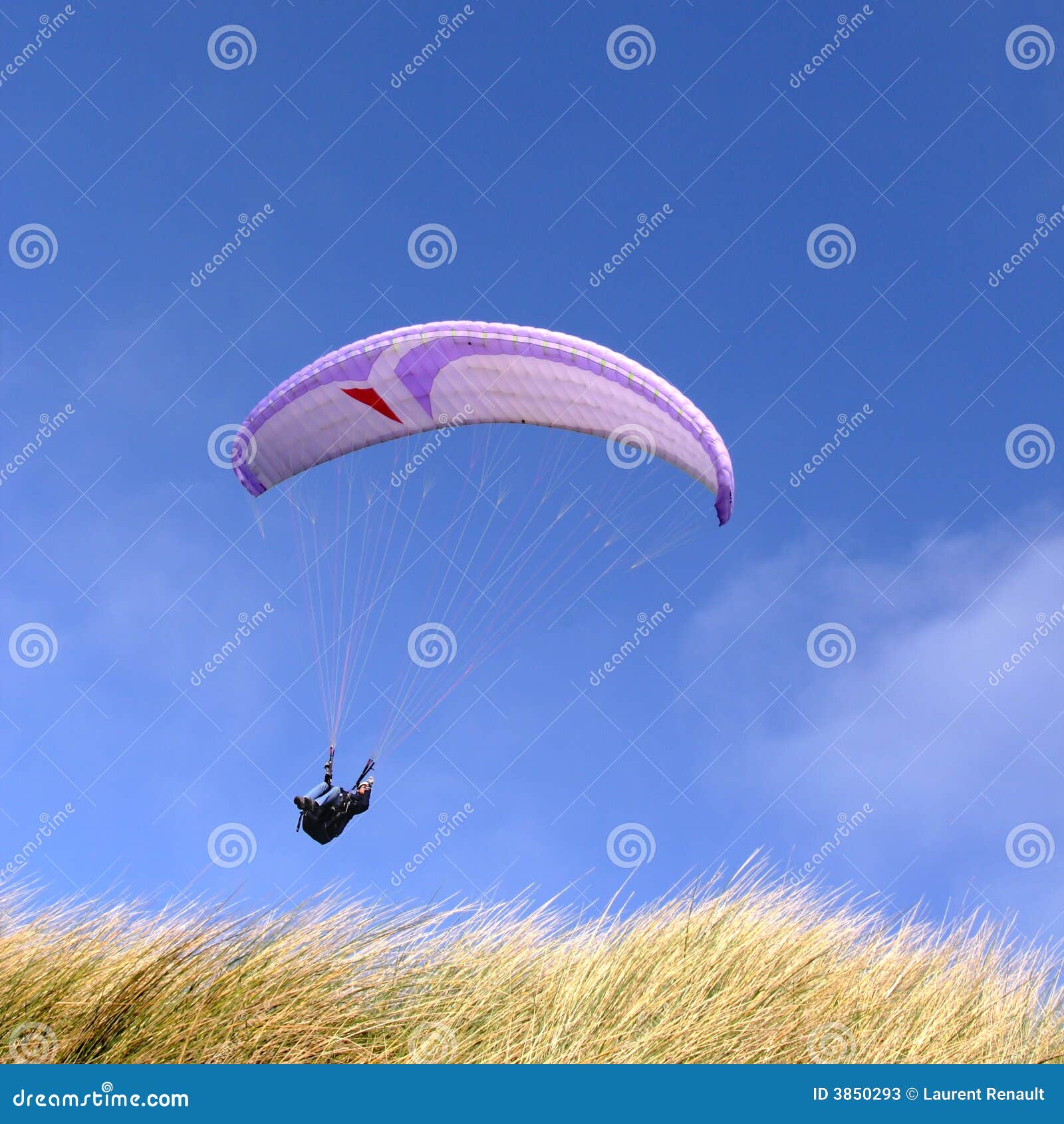 Purple paraglider stock image. Image of surf, summer, altitude - 3850293