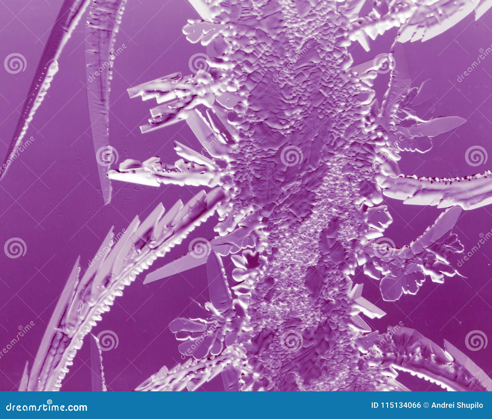 Purple Patterns on the Glass in the Frost Stock Photo - Image of light ...