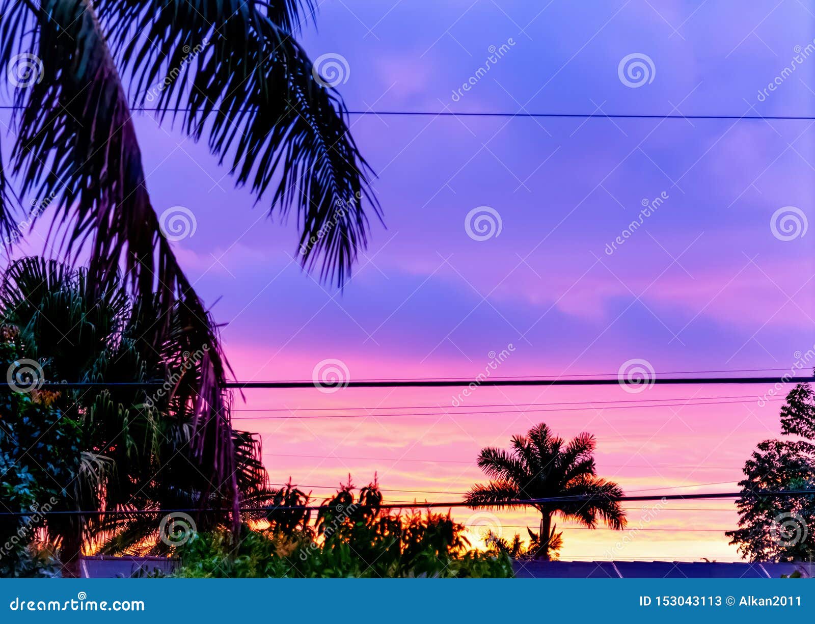 Purple and Pink Dawn in Miami Stock Image - Image of outdoor, modern ...
