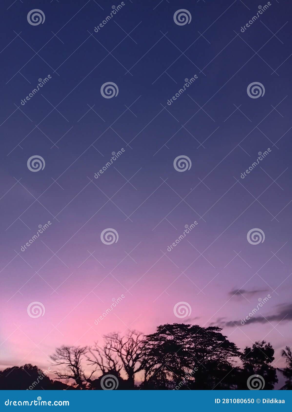 Purple Pink Sunset with the Tree Shadows Stock Photo - Image of pink ...