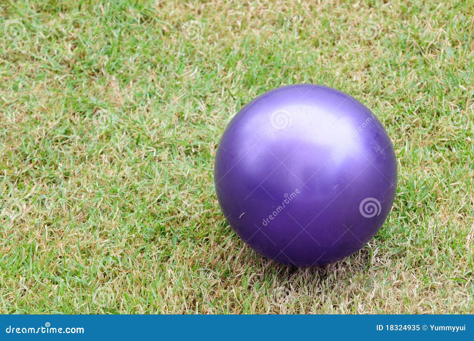 Purple Playground Ball stock image. Image of colour, blur - 18324935