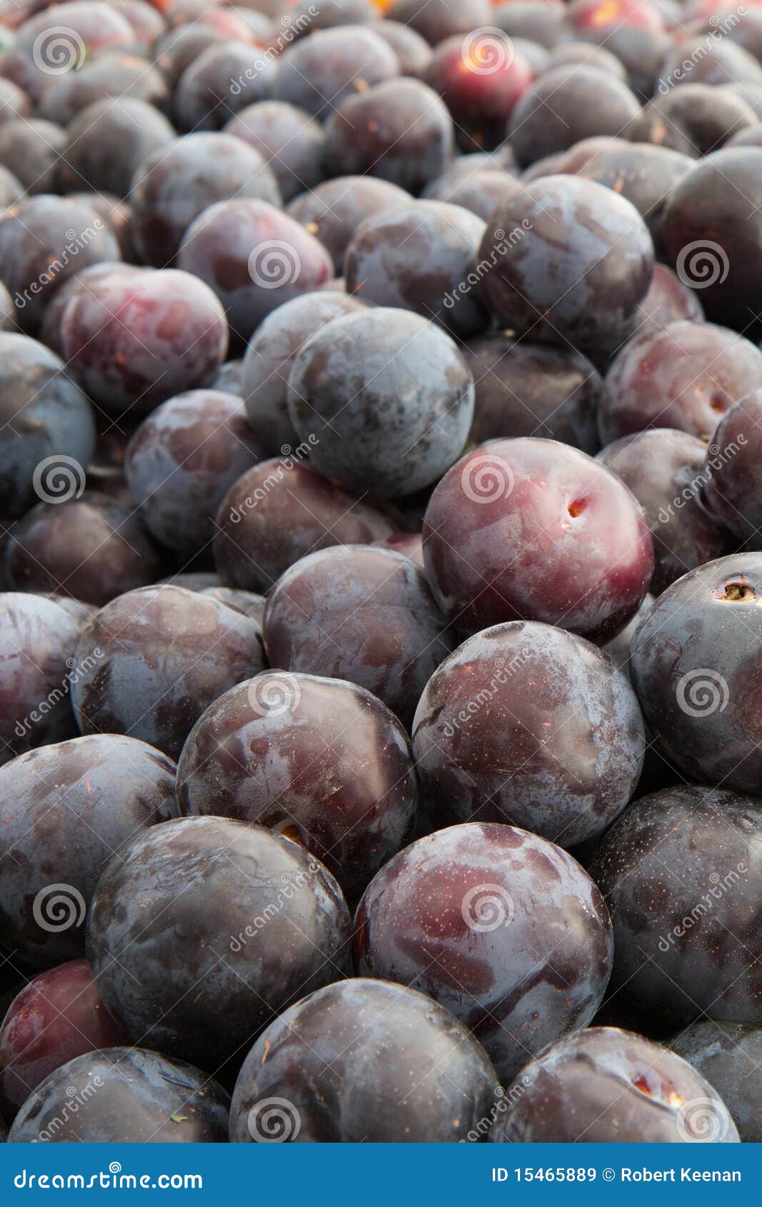 Purple Plums stock image. Image of dirty, market, nature - 15465889
