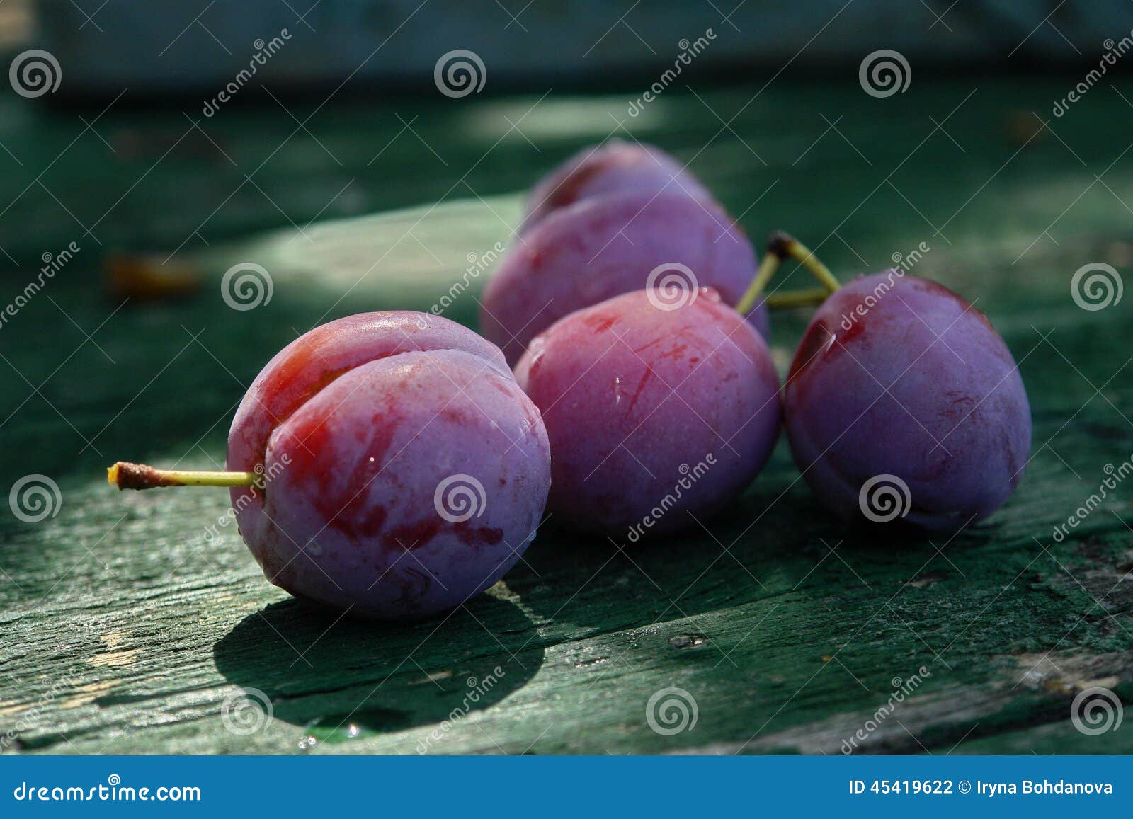Purple plums stock photo. Image of plums, morning, shot - 45419622