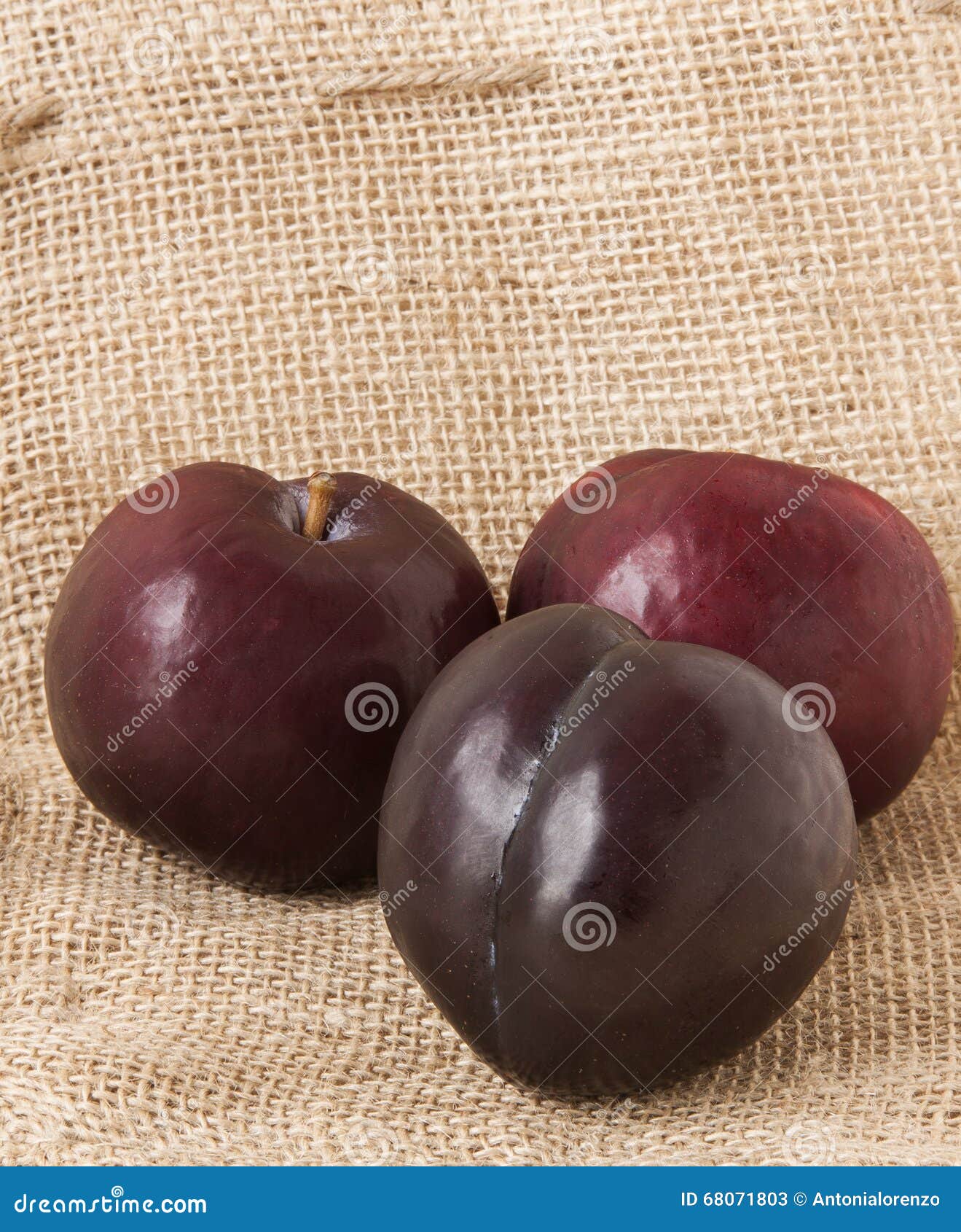 Purple Plums stock image. Image of burlap, purple, seasonal - 68071803