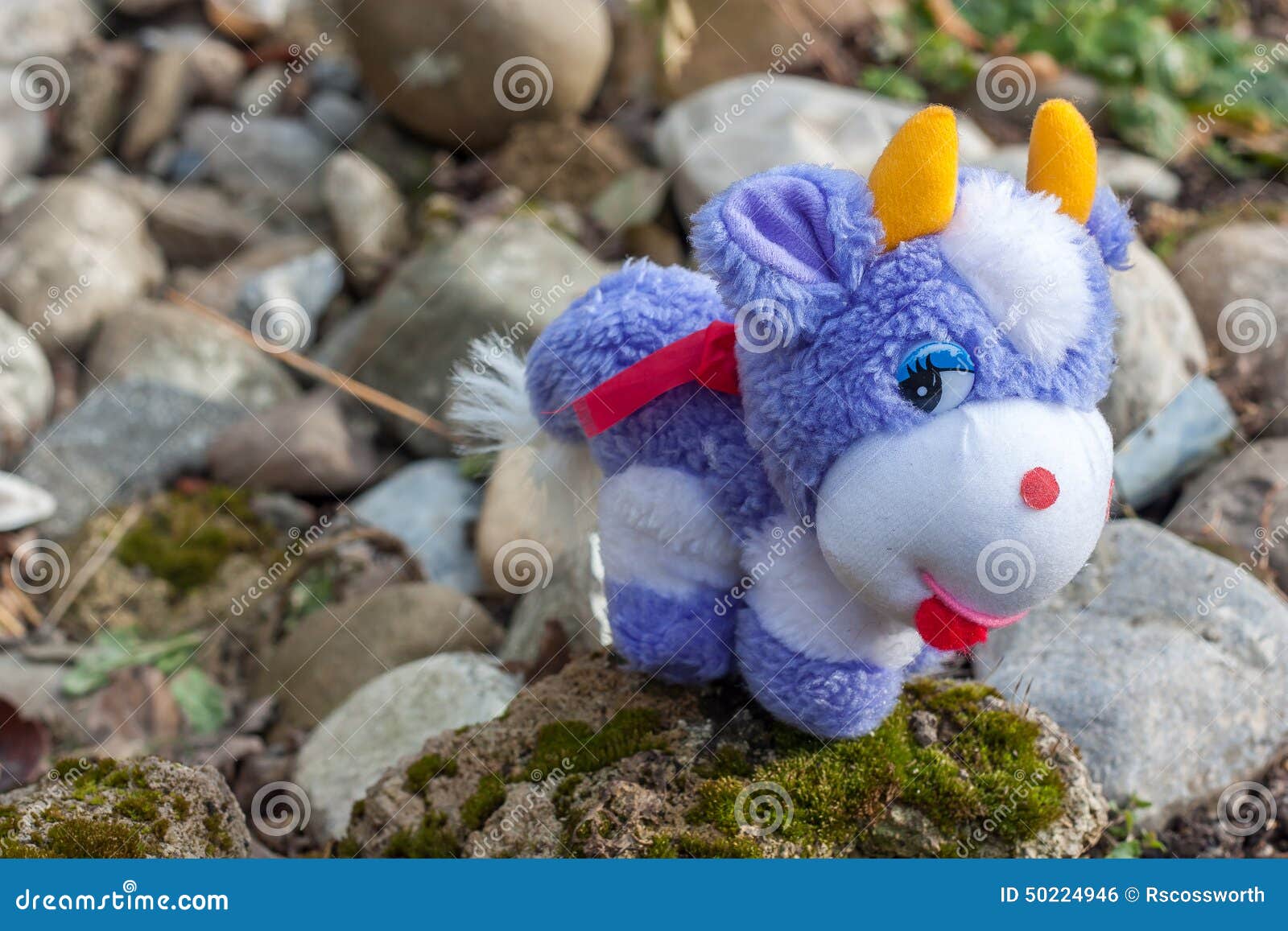 Purple plush cow stock photo. Image of outdoors, childhood - 50224946