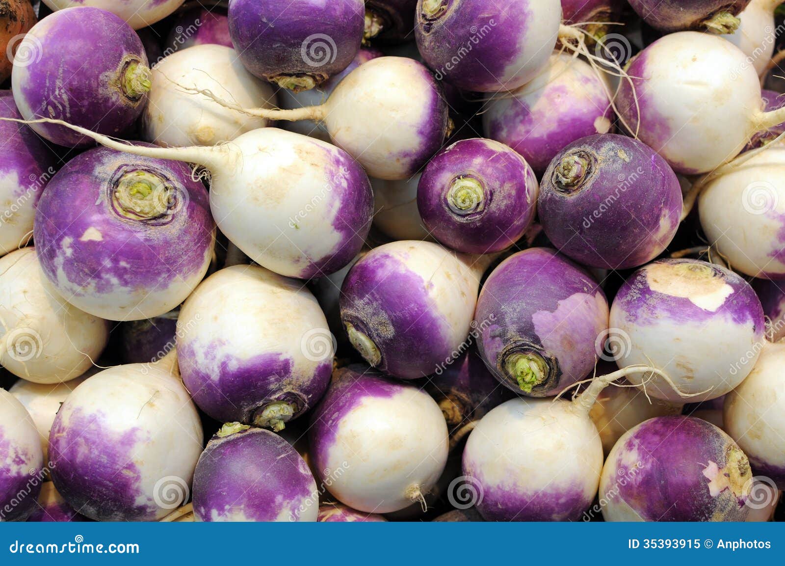 Purple radish stock image. Image of vegetable, mineral - 35393915
