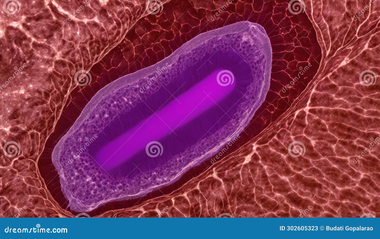 A Purple and Red Cell Under a Microscope Stock Illustration ...