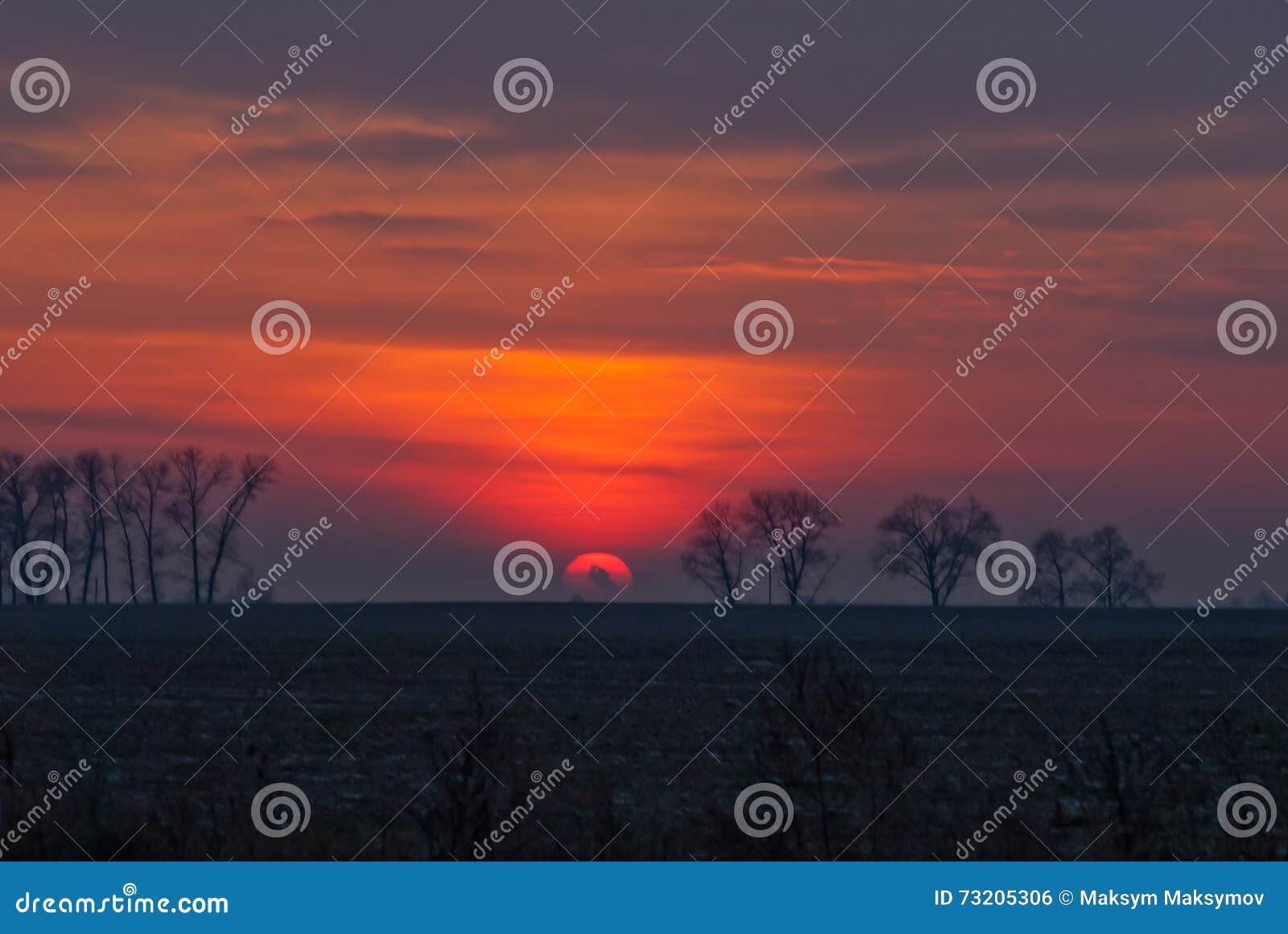 Purple-red Sunset Under the Field and Forest Stock Photo - Image of ...