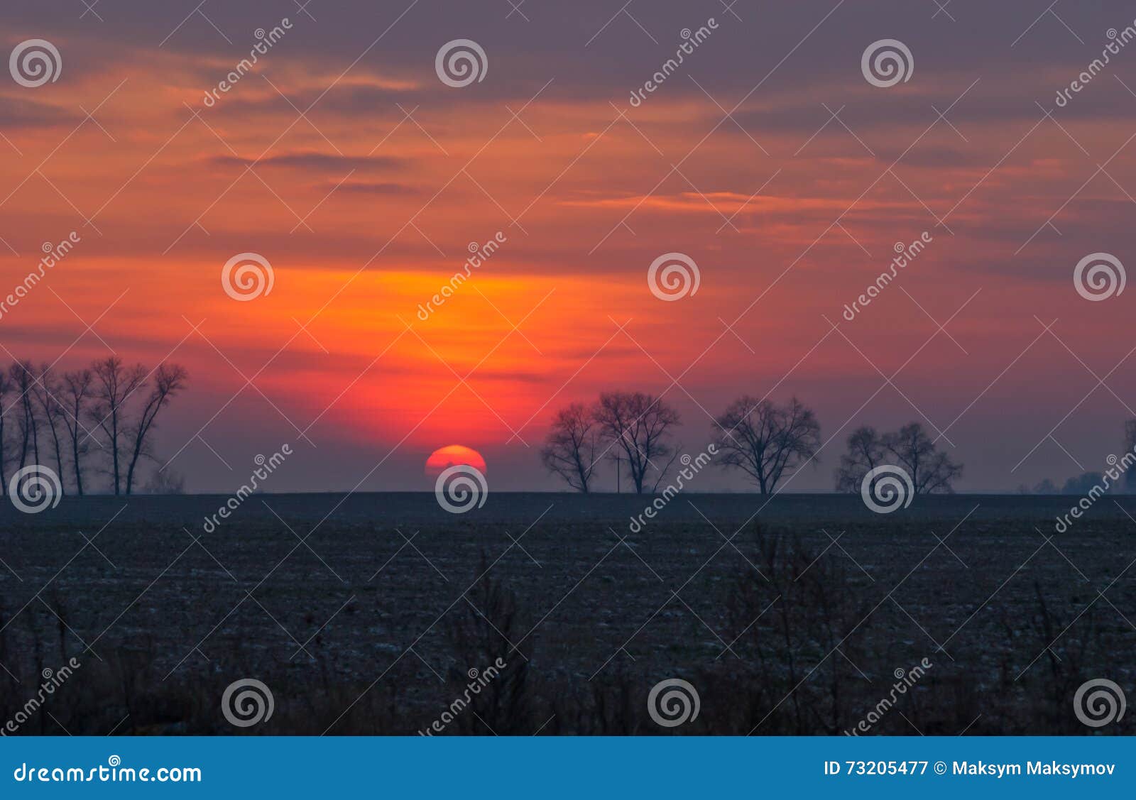 Purple-red Sunset Under the Field and Forest Stock Image - Image of ...