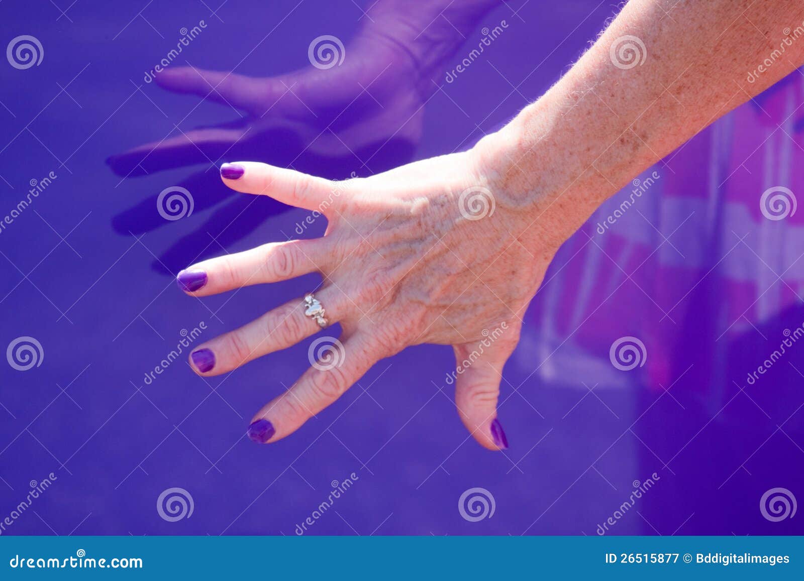 Purple Reflection stock image. Image of outdoor, background - 26515877