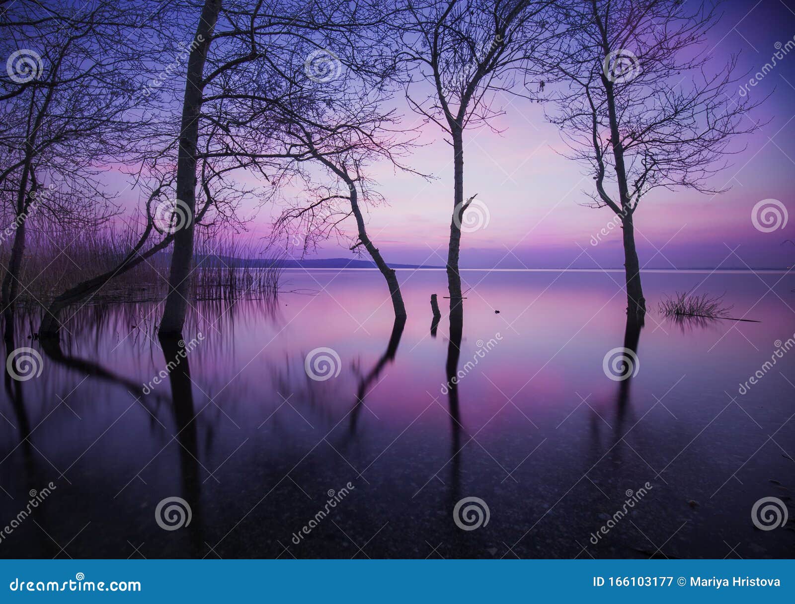 Purple Reflections at Sunset Stock Image - Image of pink, clouds: 166103177