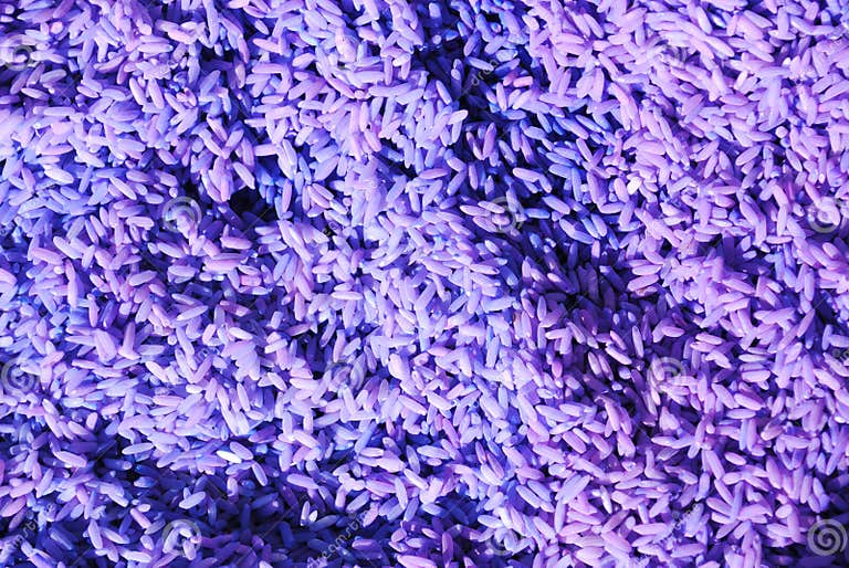 Purple Rice stock photo. Image of colored, purple, color - 21651942