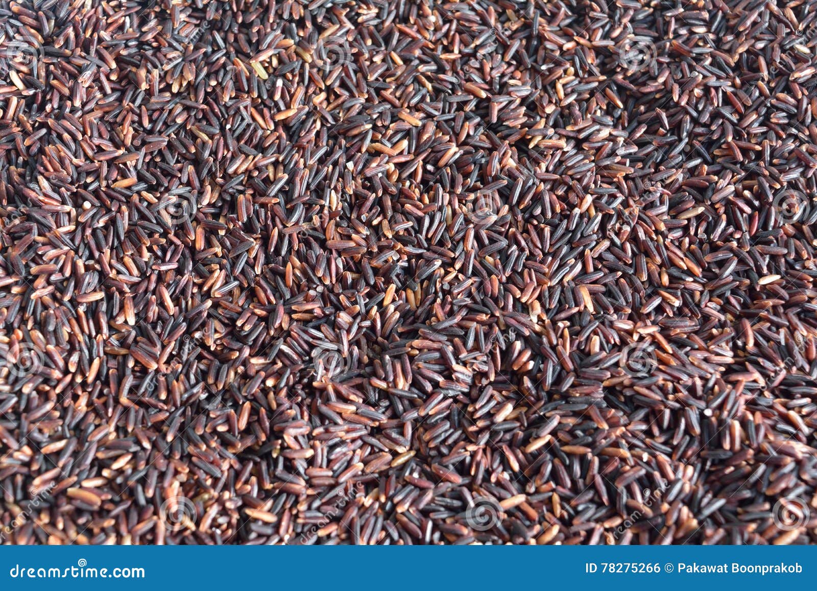 Purple rice stock photo. Image of varies, rice, background - 78275266