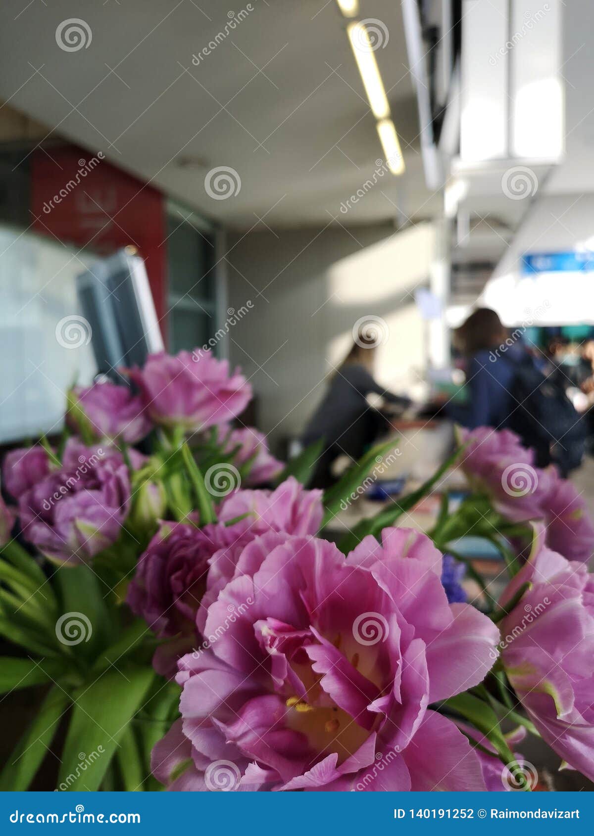 Flowers in the Reception Office Stock Photo - Image of study, rings ...