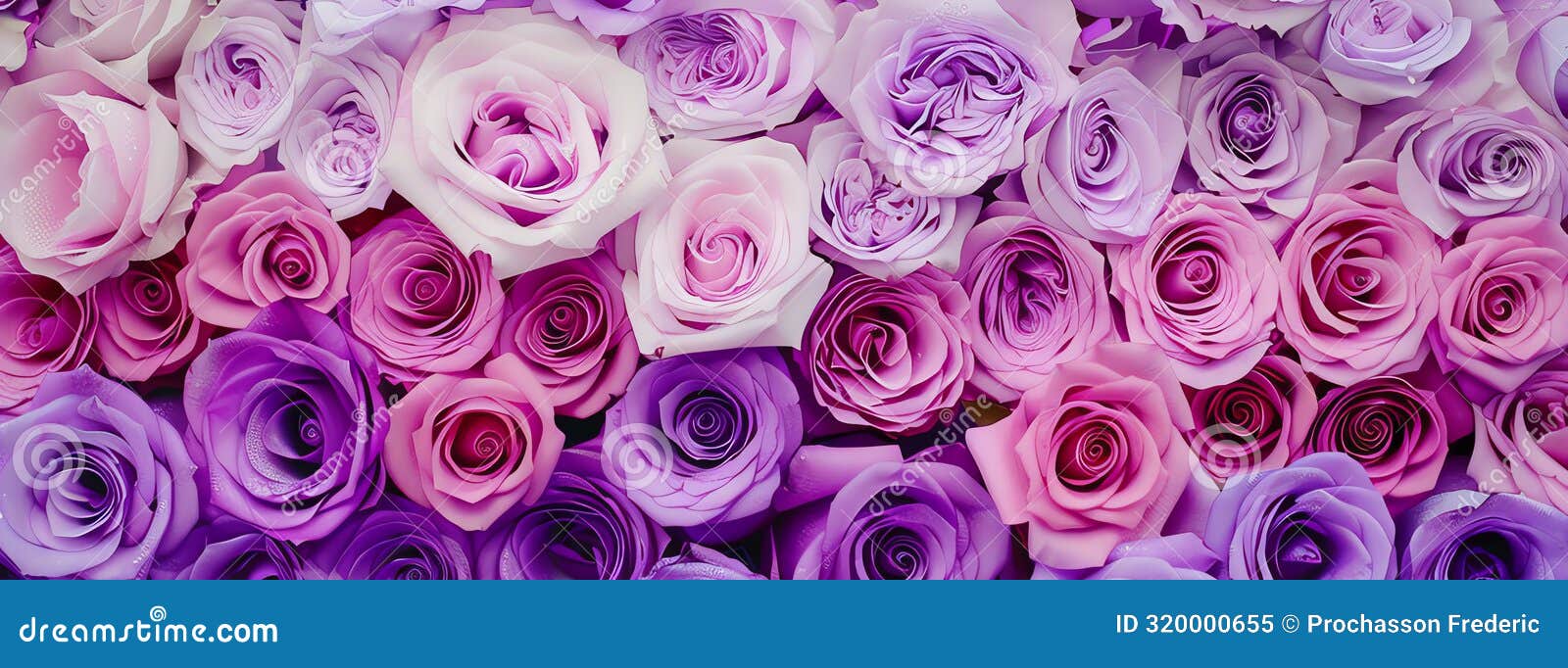 Purple roses, AI generated stock illustration. Illustration of purple ...