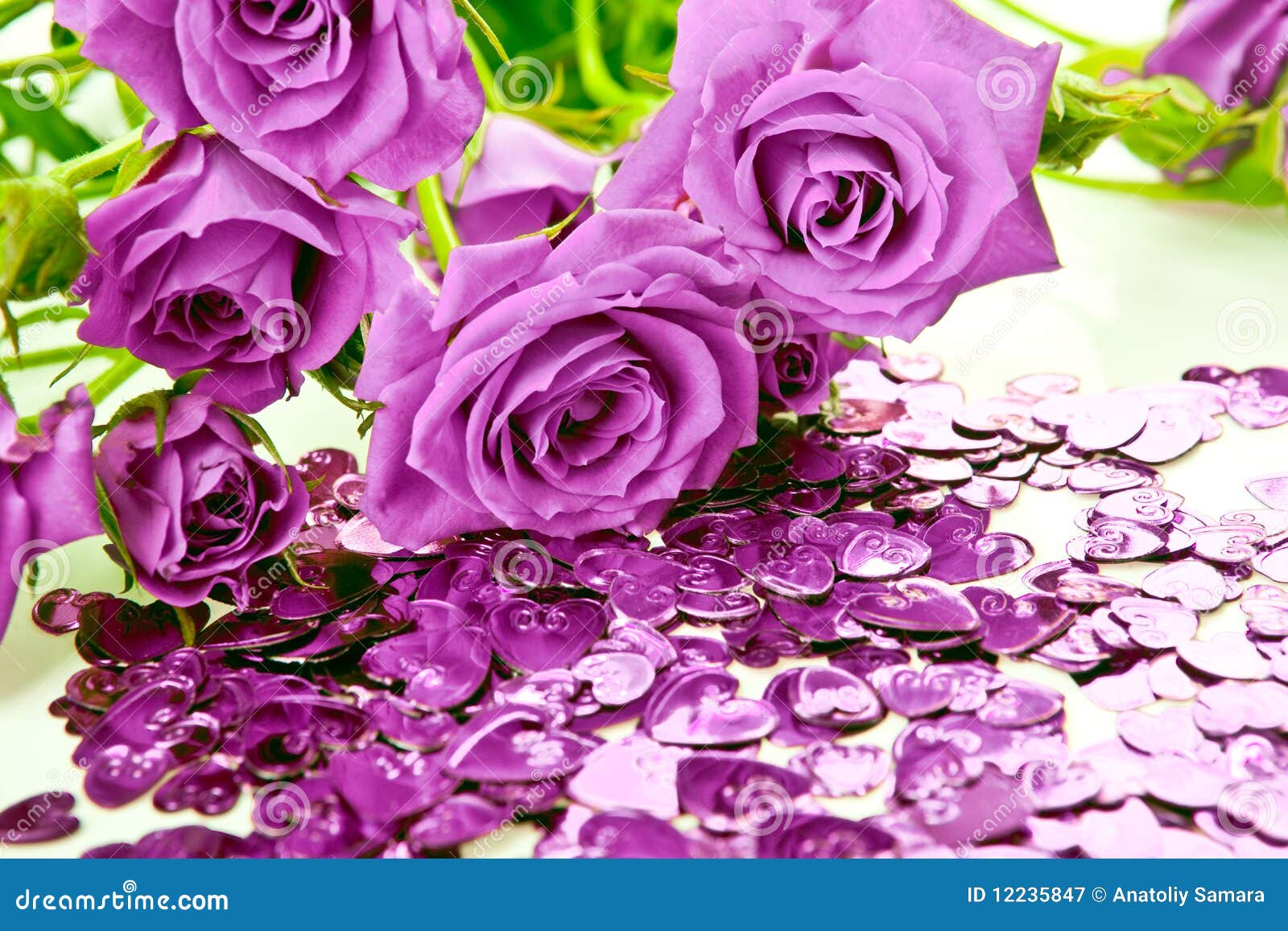 Purple Hearts And Roses Wallpaper