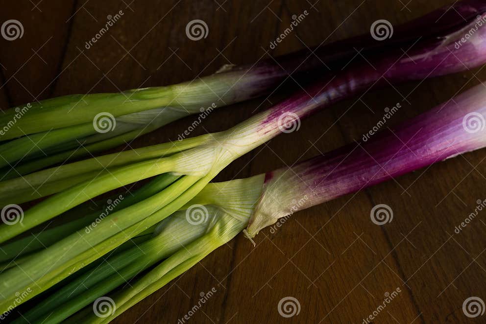 Purple Scallion, Onion Line Composition Stock Image - Image of eggplant ...