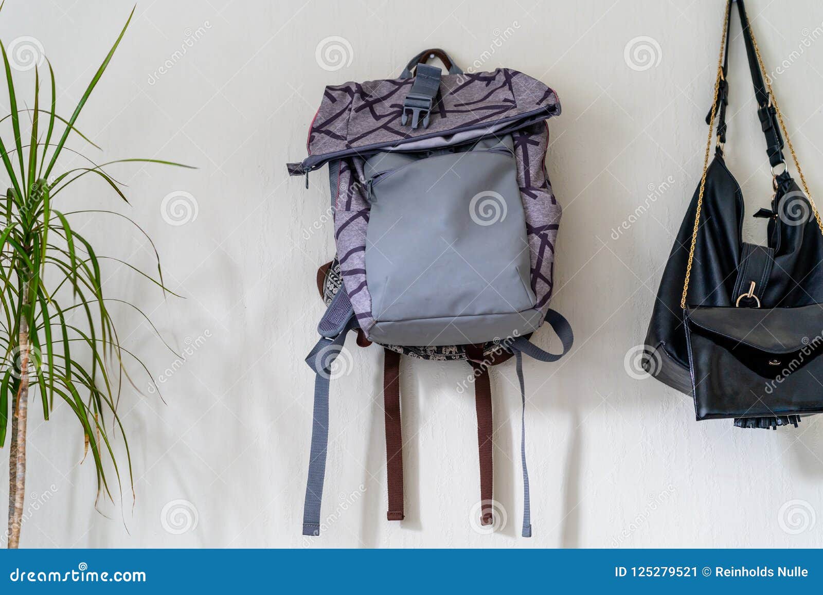 Purple School Backpack Hanging on the Wall Stock Image - Image of ...