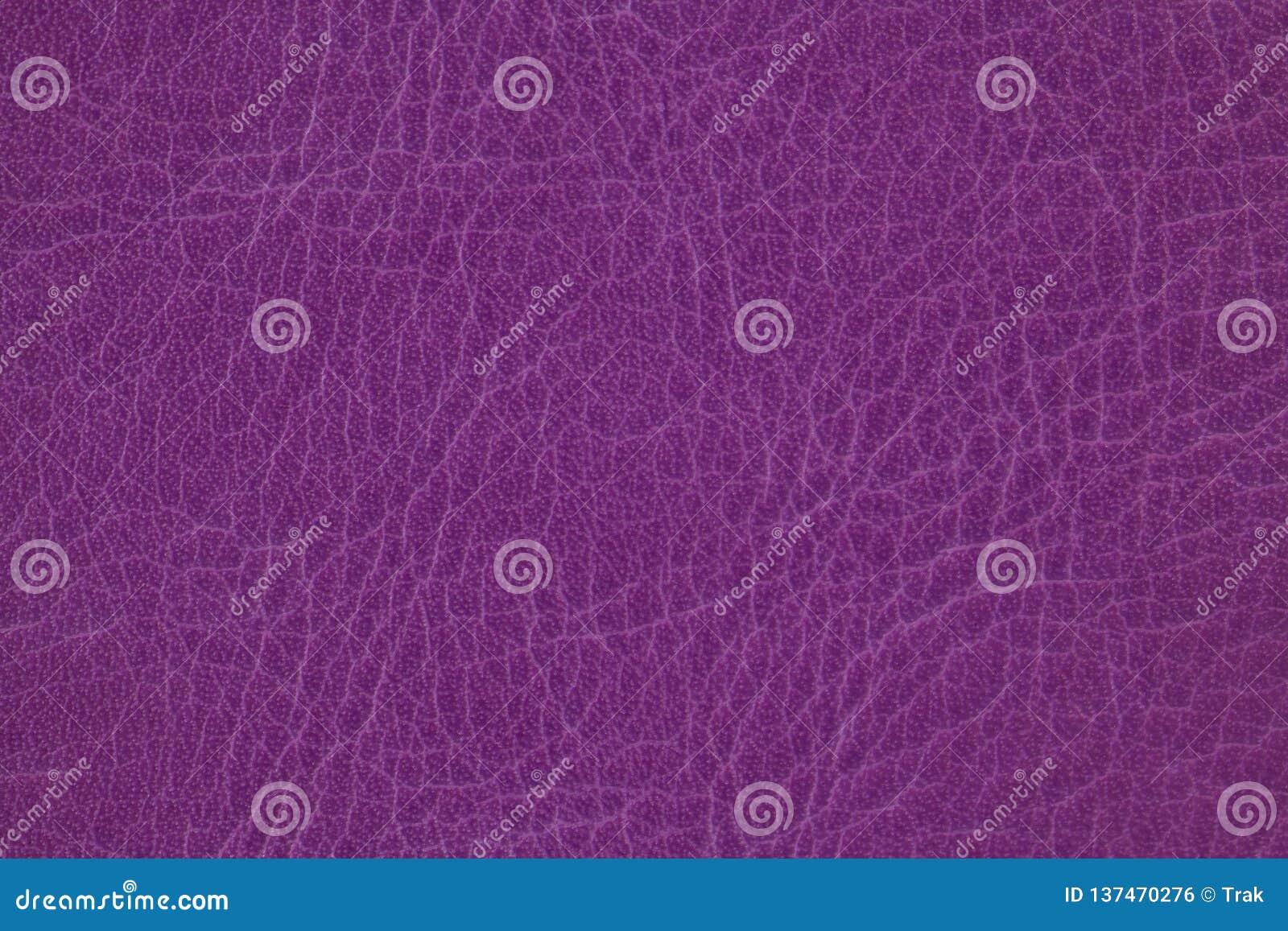 Purple skin texture stock photo. Image of skin, close - 137470276