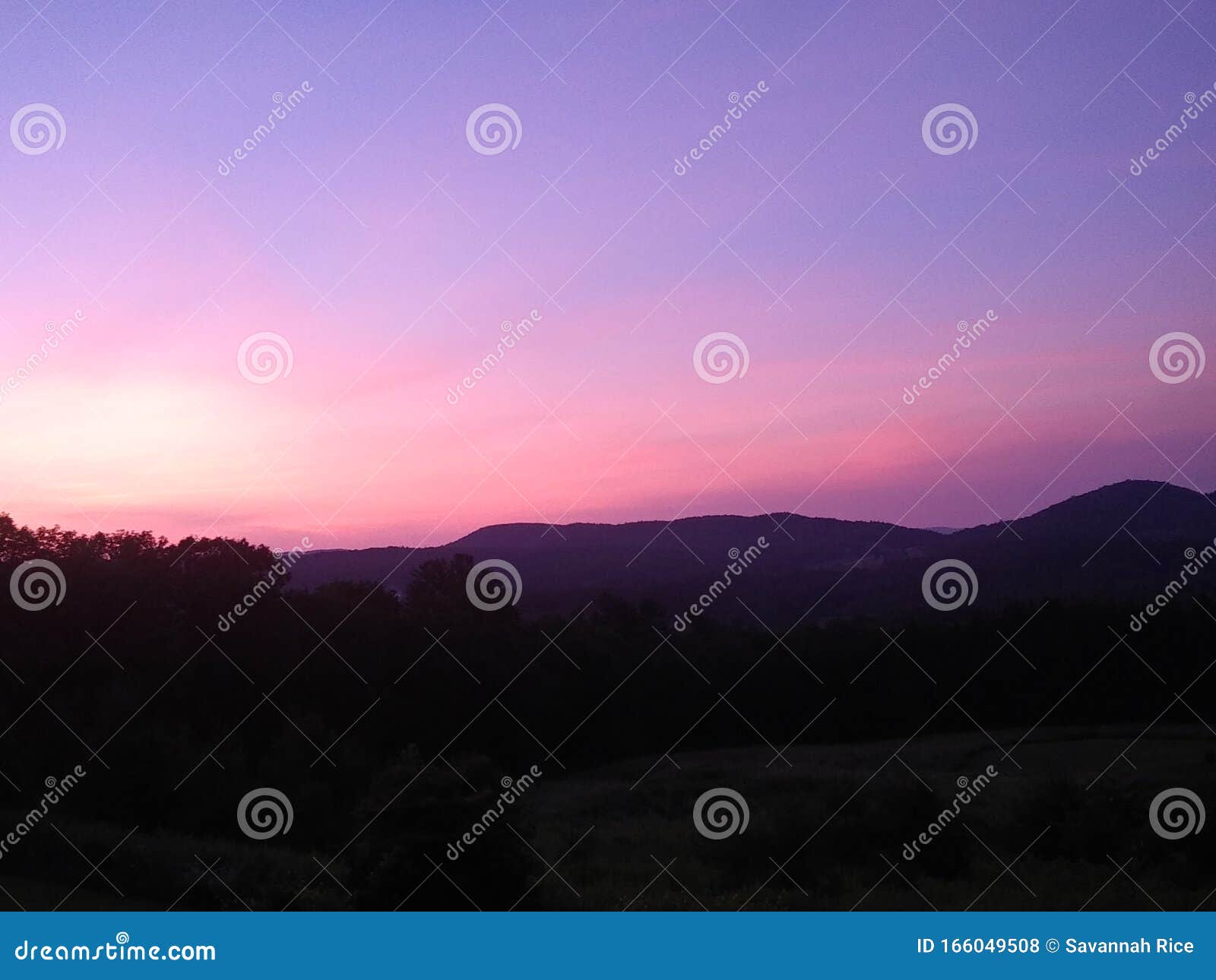 Purple stock photo. Image of backyard, purple, views - 166049508