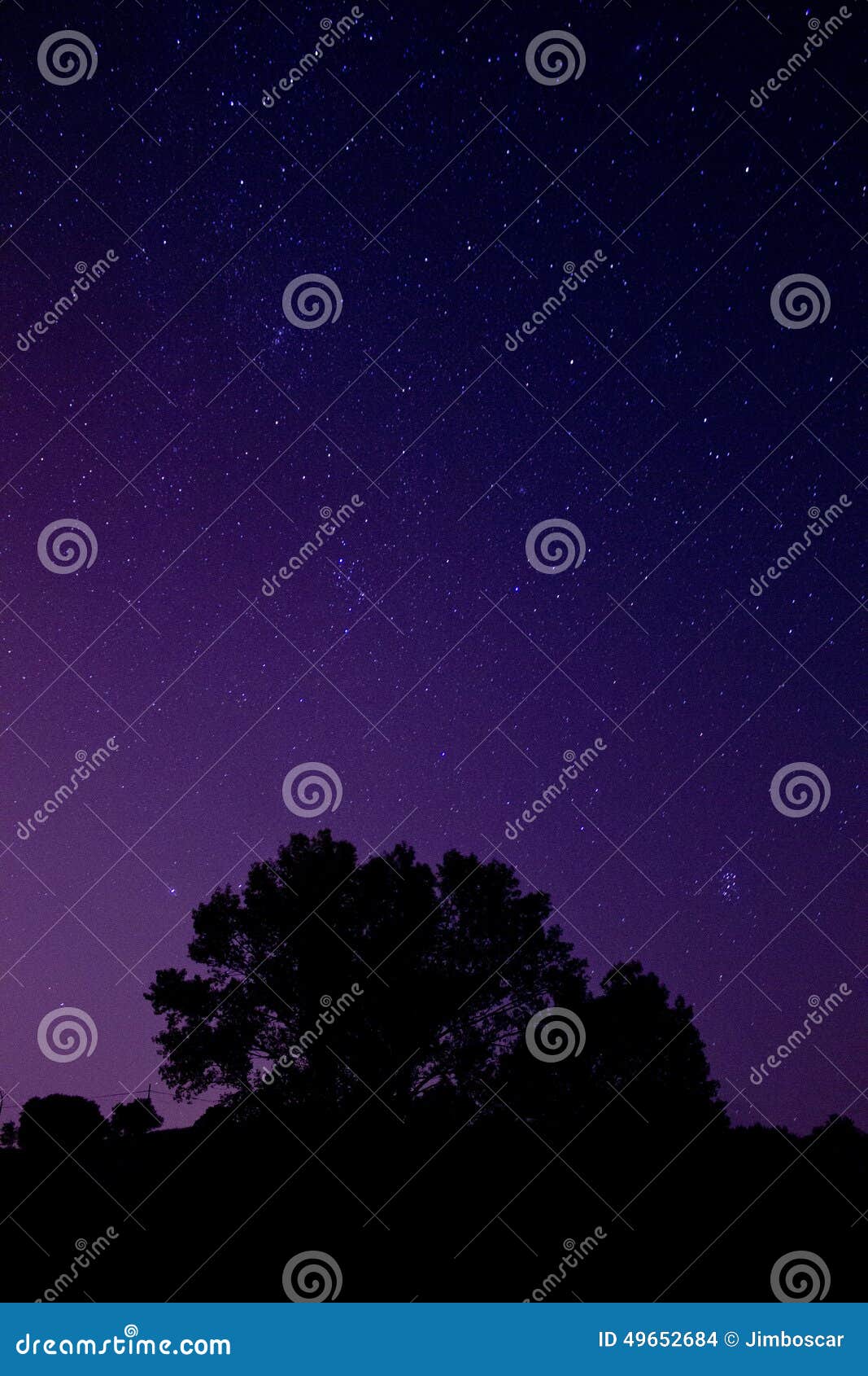 Purple Sky at Night and Stars Stock Photo - Image of isolated, forest ...