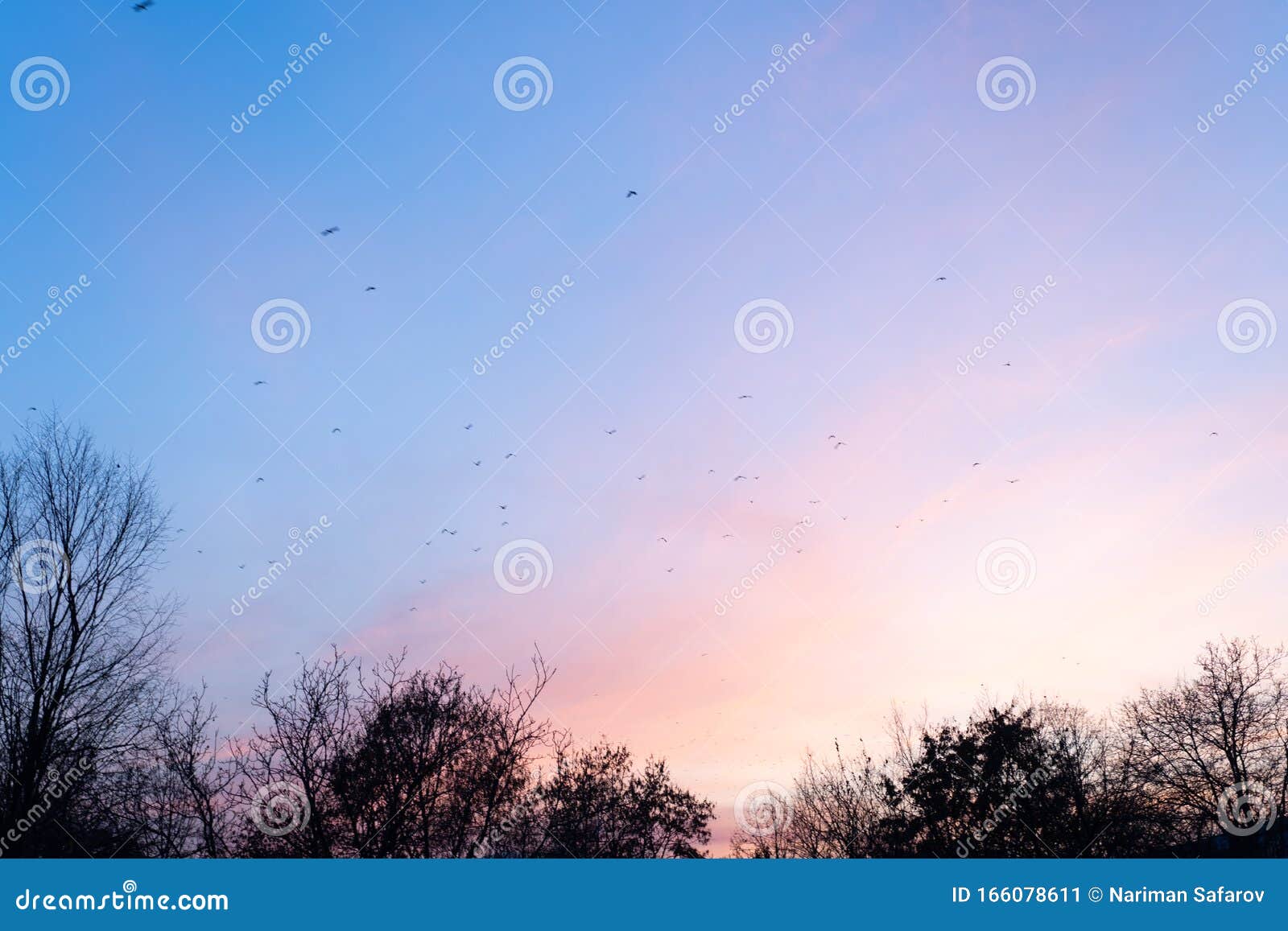 Purple Sky at Sunset and a Flock of Birds Stock Image - Image of blue ...