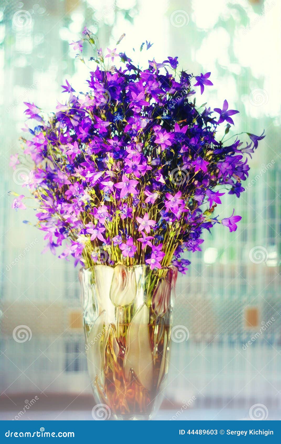 Purple Small Spring Flowers Stock Image - Image of grass, growth: 44489603