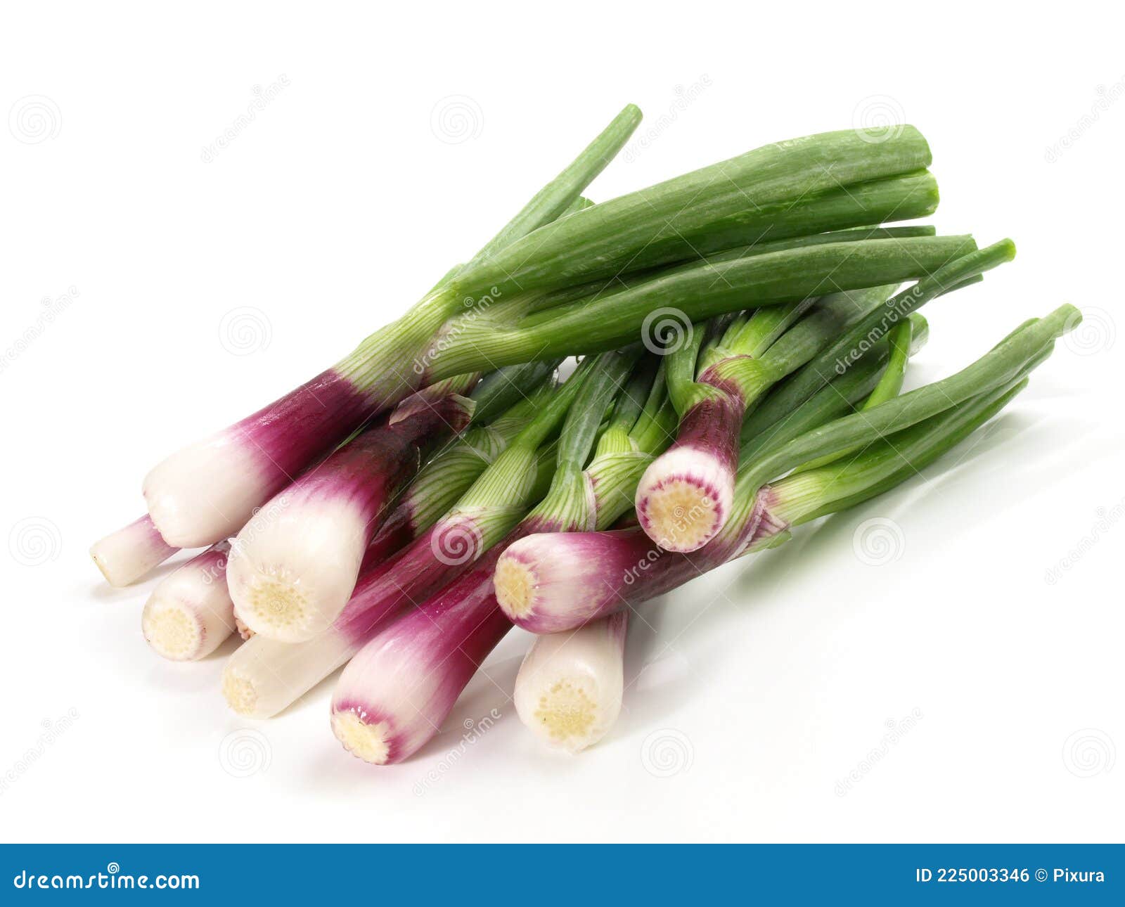 Purple Spring Onions on White Background - Isolated Stock Photo - Image ...