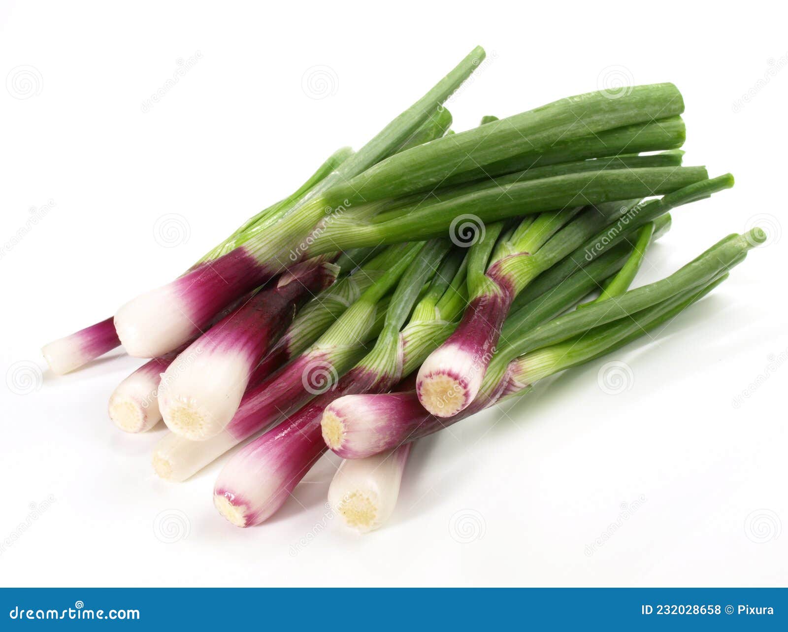 Purple Spring Onions on White Background - Isolated Stock Photo - Image ...