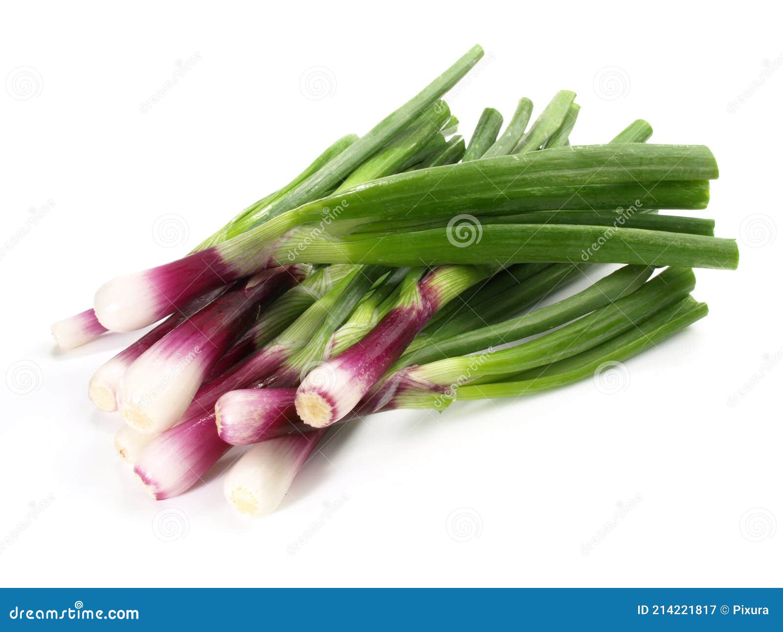 Purple Spring Onions on White Background - Isolated Stock Image - Image ...