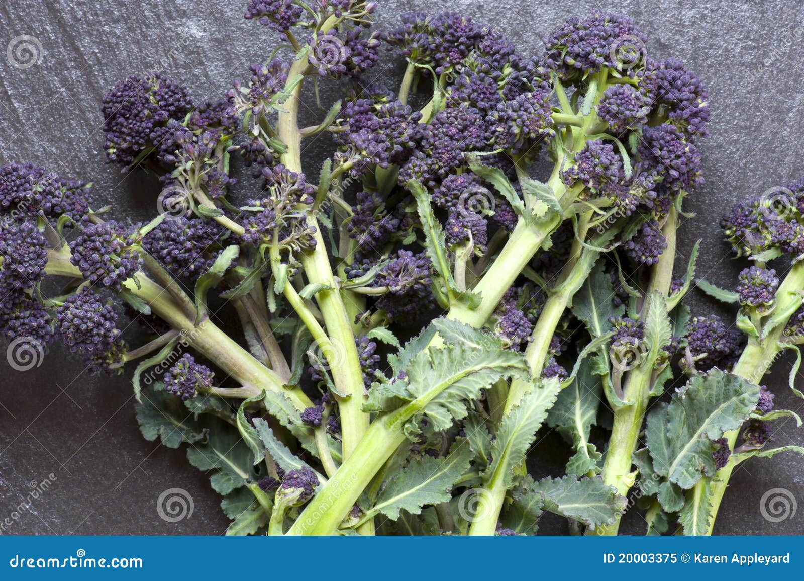 Purple Sprouting Broccoli stock image. Image of ingredient - 20003375
