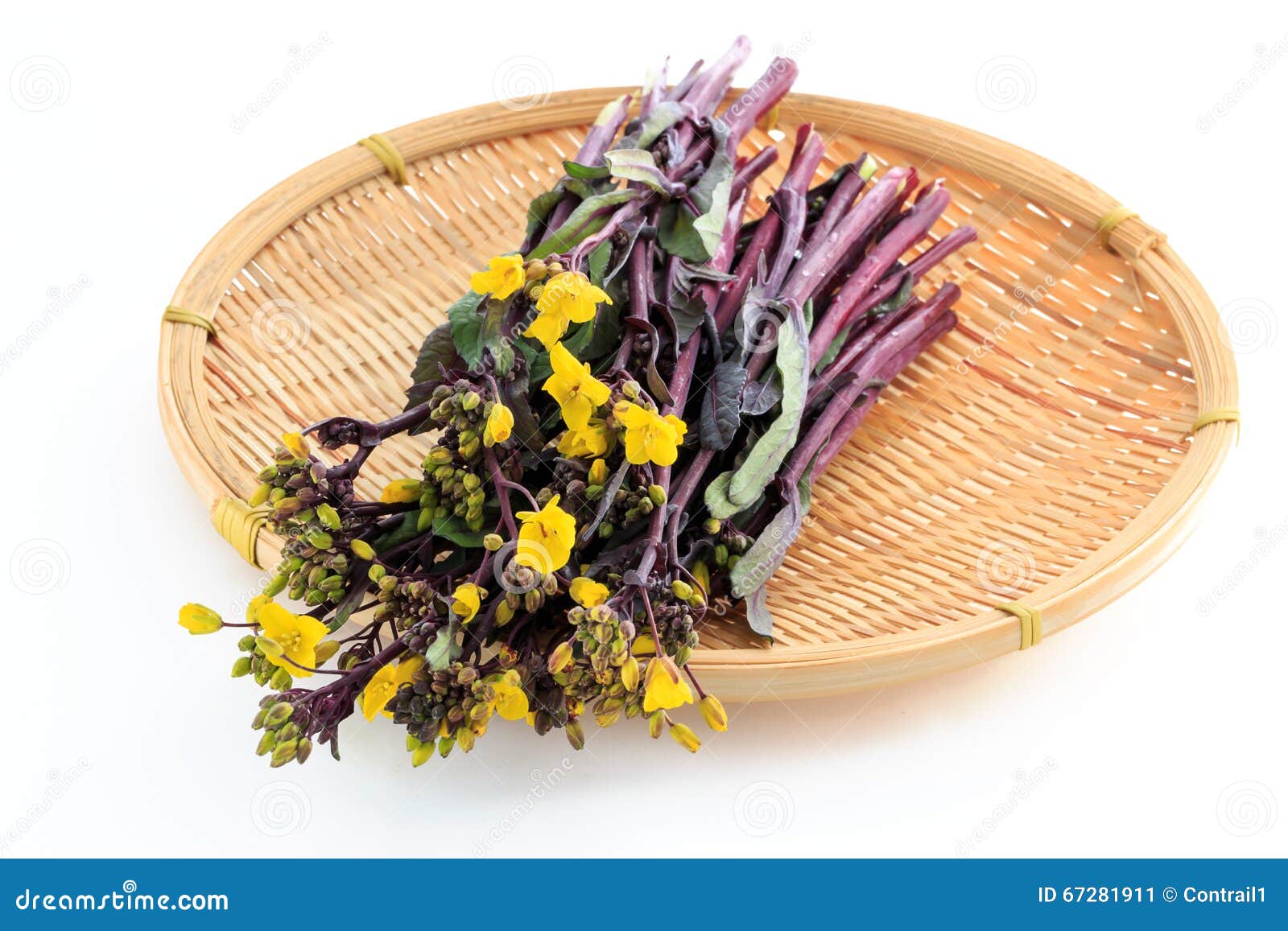 Purple stem mustard stock image. Image of herb, stem - 67281911