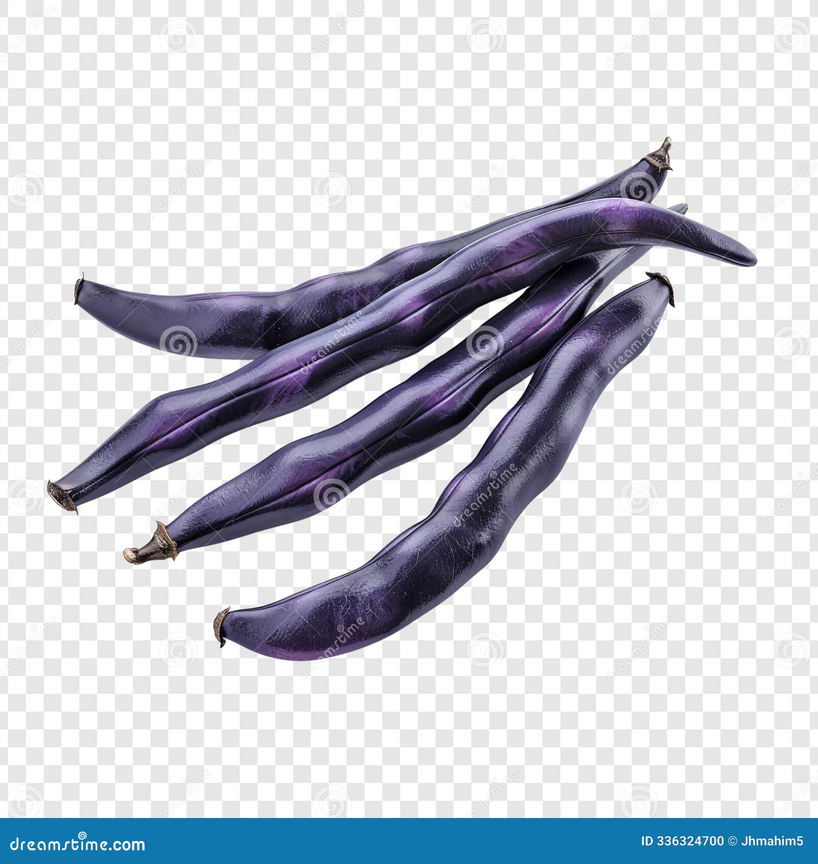 Purple String Beans stock illustration. Illustration of fresh - 336324700