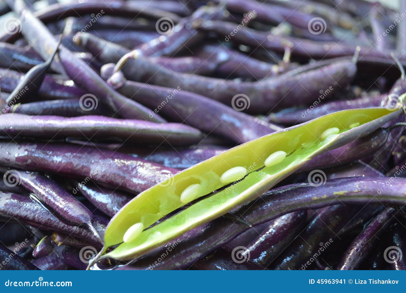 String Beans Stock Photo | CartoonDealer.com #11256