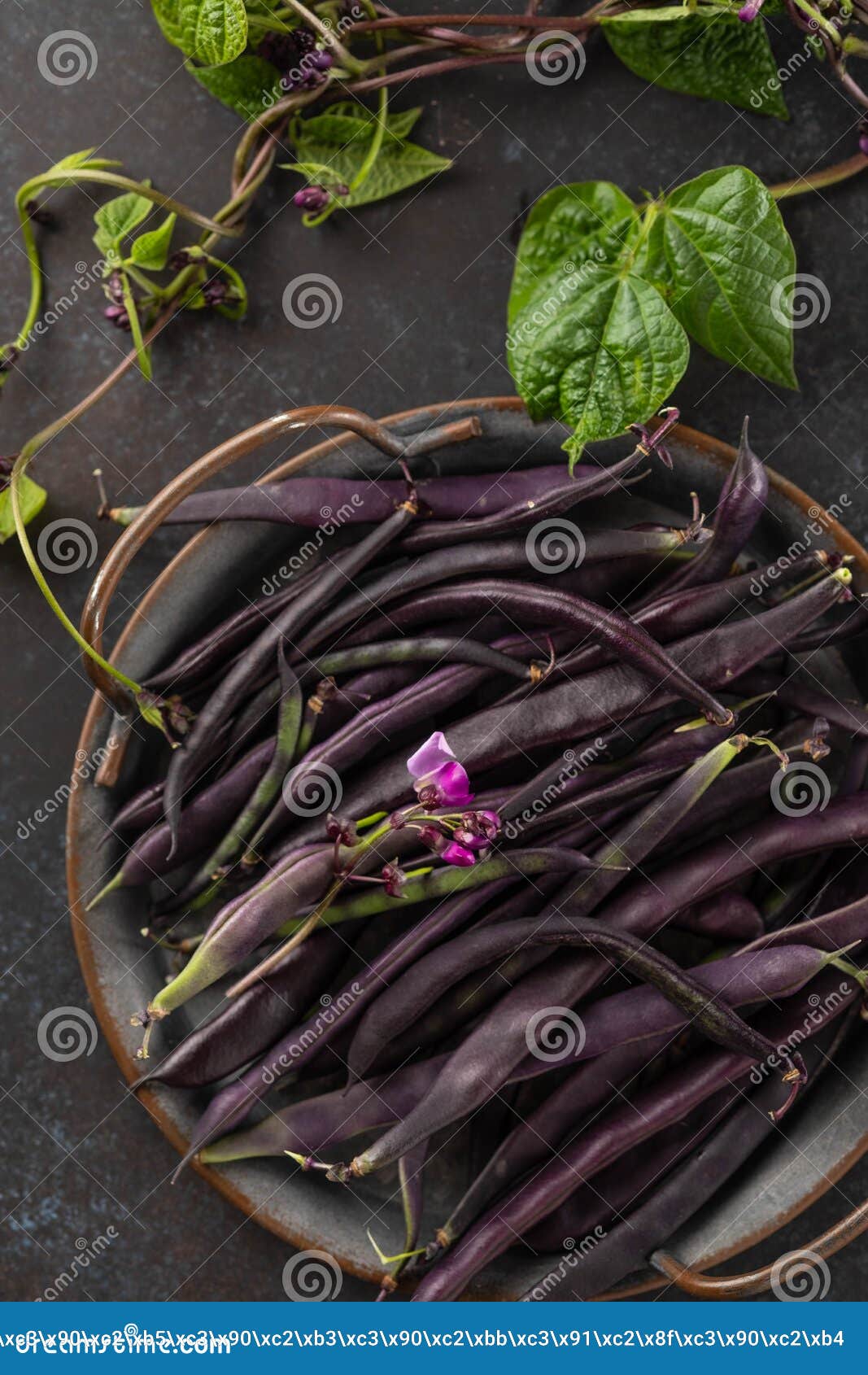 Fresh Purple String Beans on a Black Table, Clean Eating, Selective ...