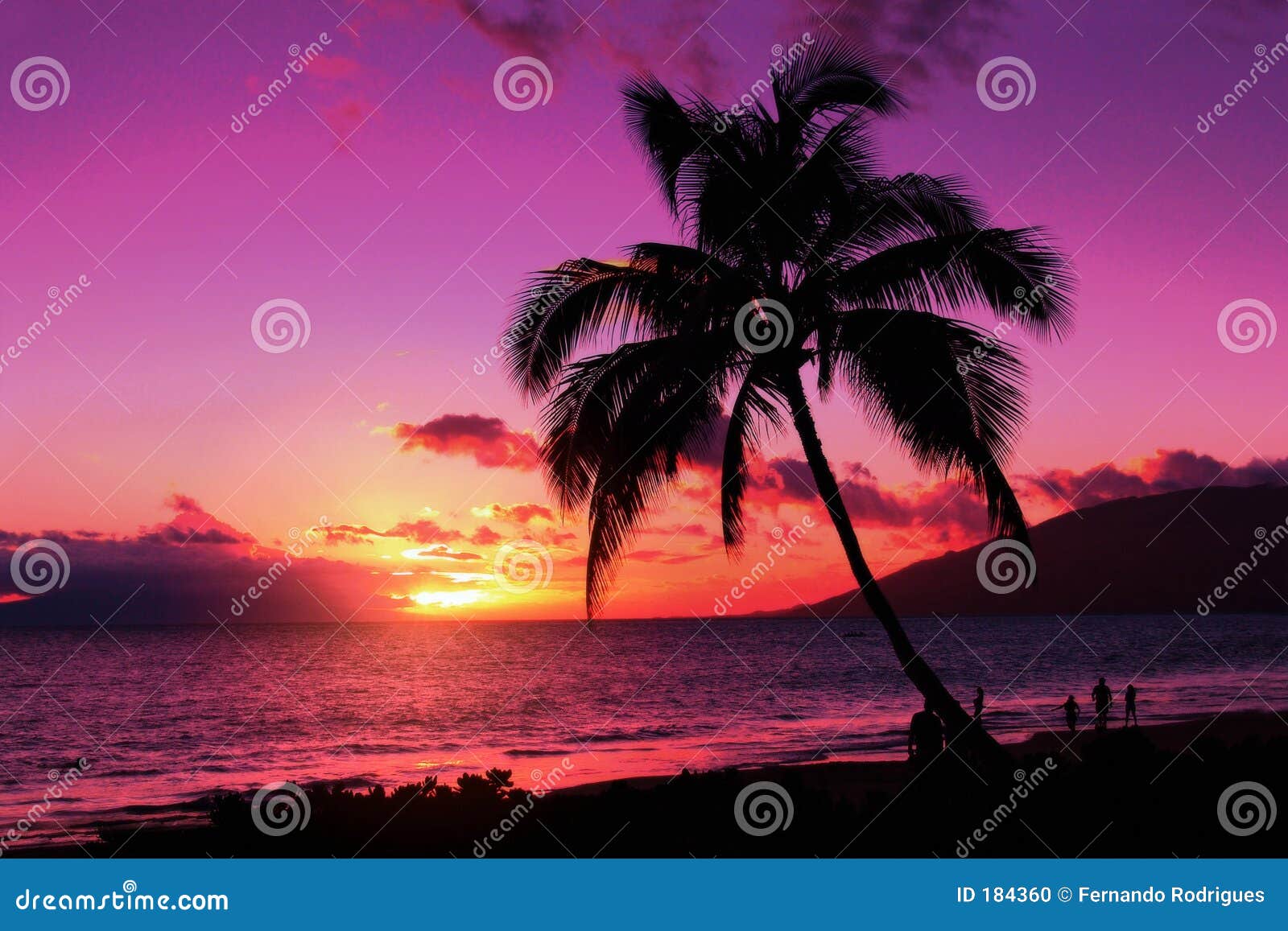 Hawaiian Purple Sunset Displaying 2,269 Hawaii Purple Sunset Stock