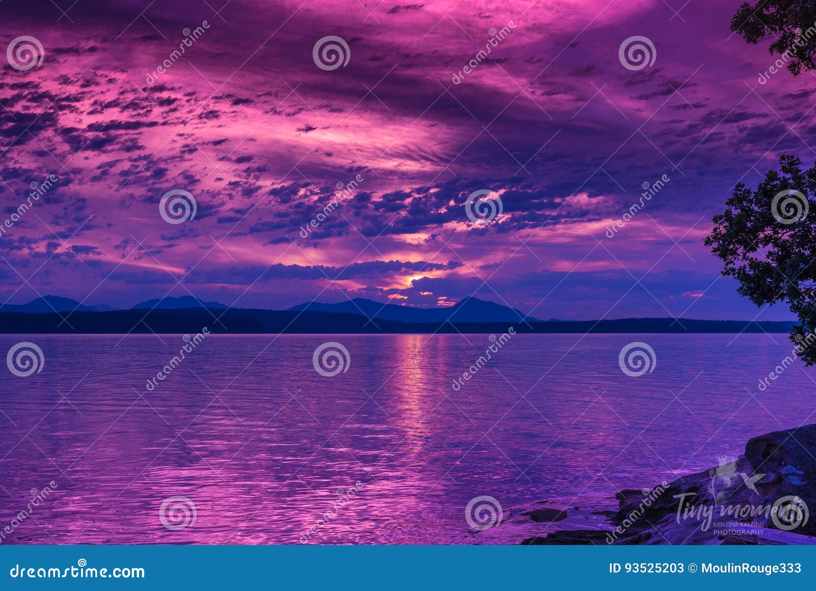Purple Sunset Ocean Sky Royalty-Free Stock Photography | CartoonDealer ...