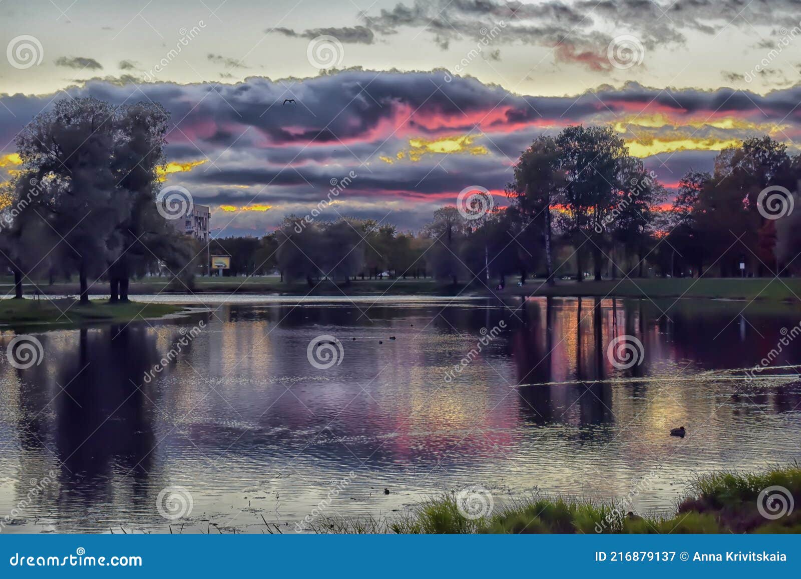 Purple Sunset Over a Pond in a Park Stock Image - Image of park, blue ...