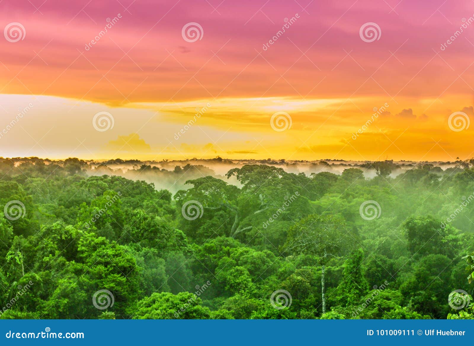Purple Sunset Over Rainforest Trees in Brazil Stock Image - Image of ...