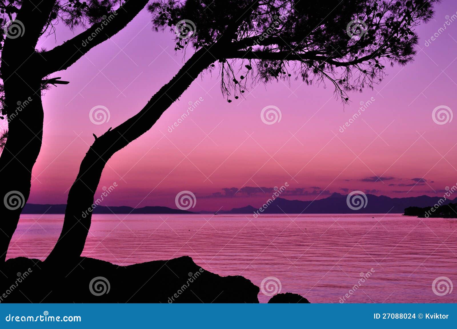 Purple Sunset with Tree Silhouette at Sea in Summe Stock Photo - Image ...