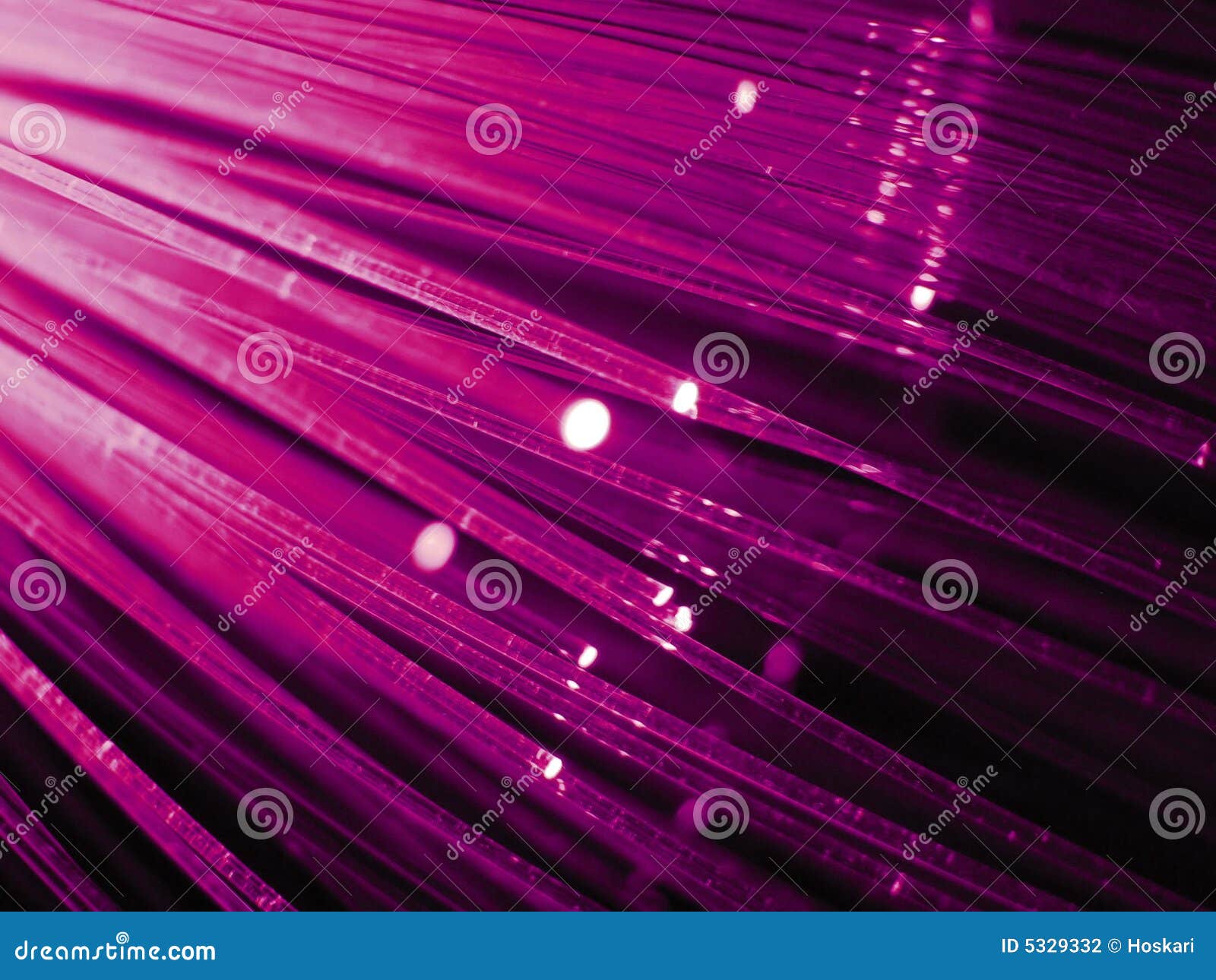 Purple thin rays stock photo. Image of information, internet - 5329332