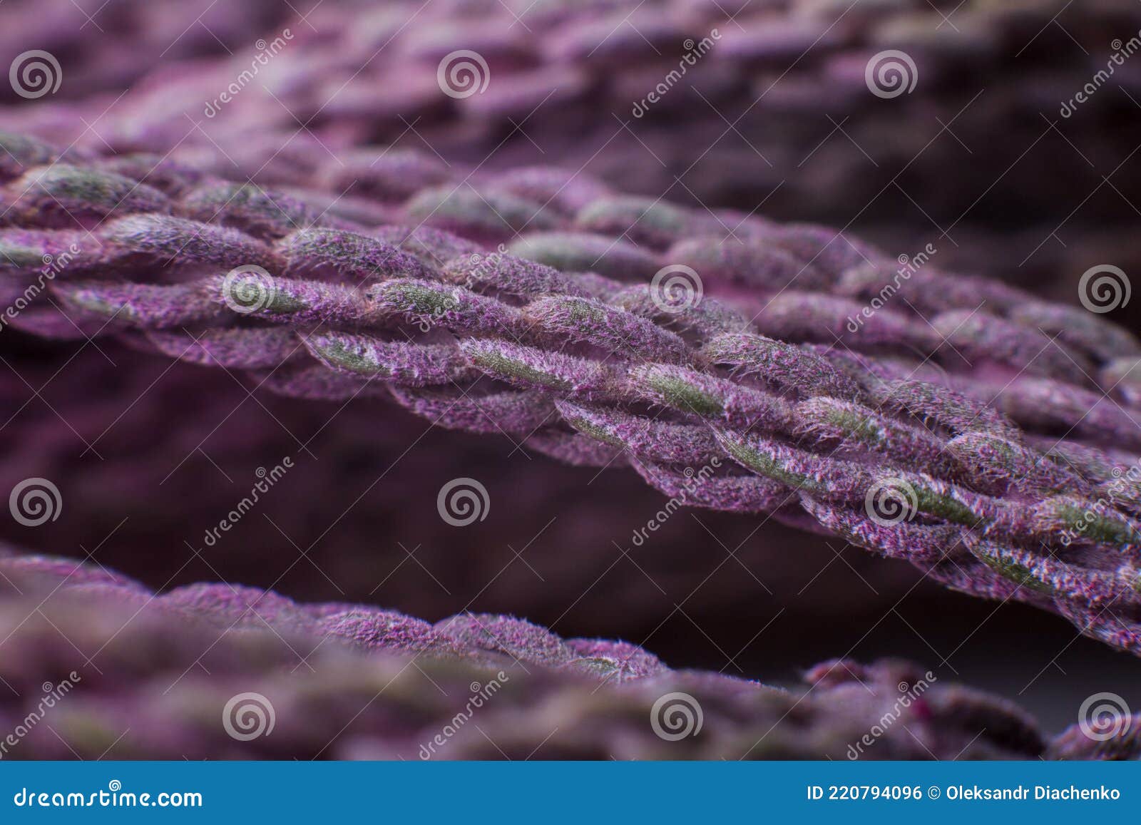 Purple Threads Close Up Under the Microscope Background Stock Photo ...
