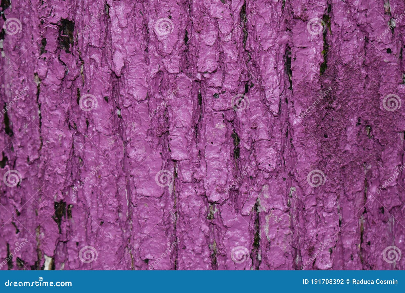 Colored tree bark texture stock photo. Image of brown - 191708392