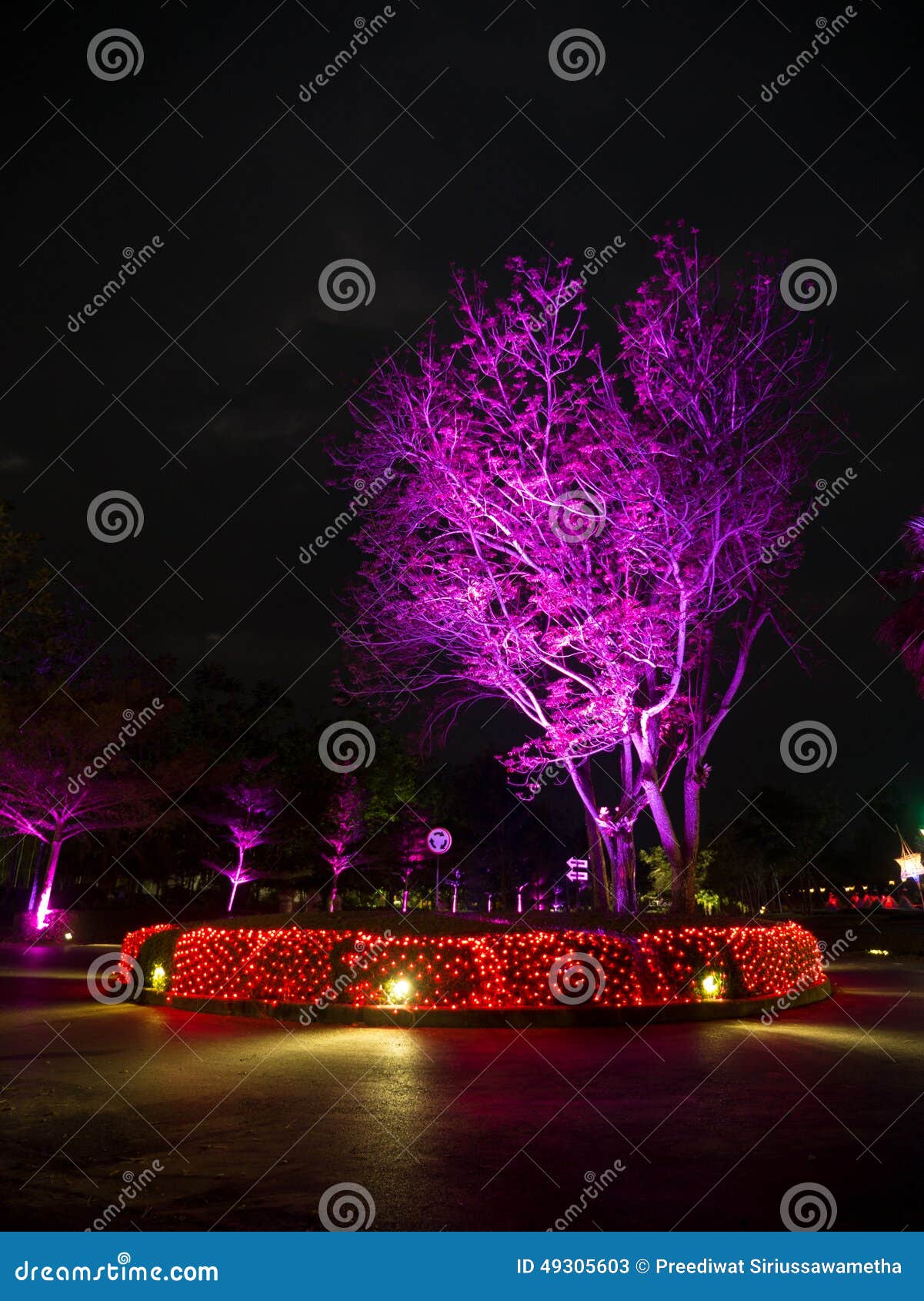 Purple tree at night scene stock image. Image of glow - 49305603