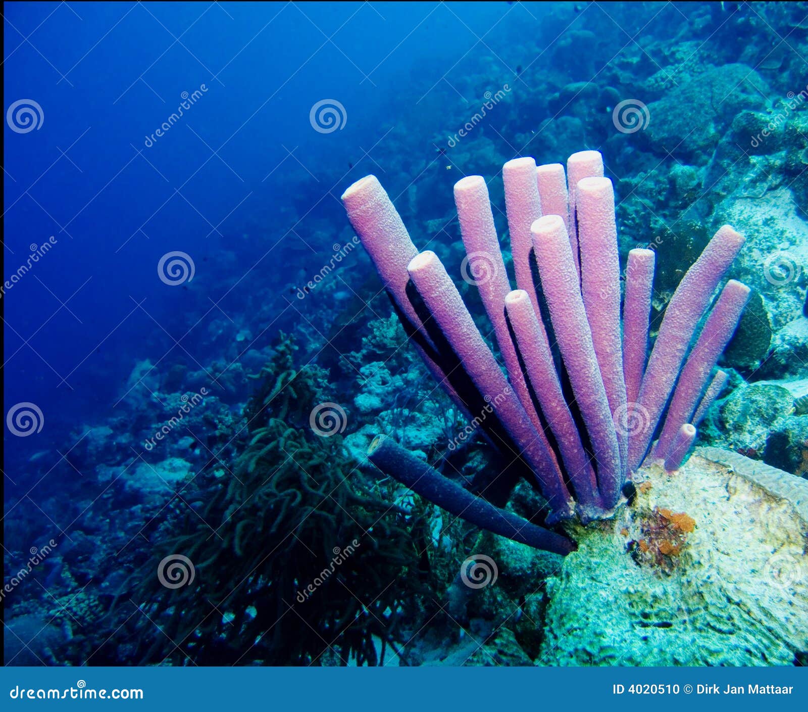 Tube Royalty-Free Stock Image | CartoonDealer.com #168384586