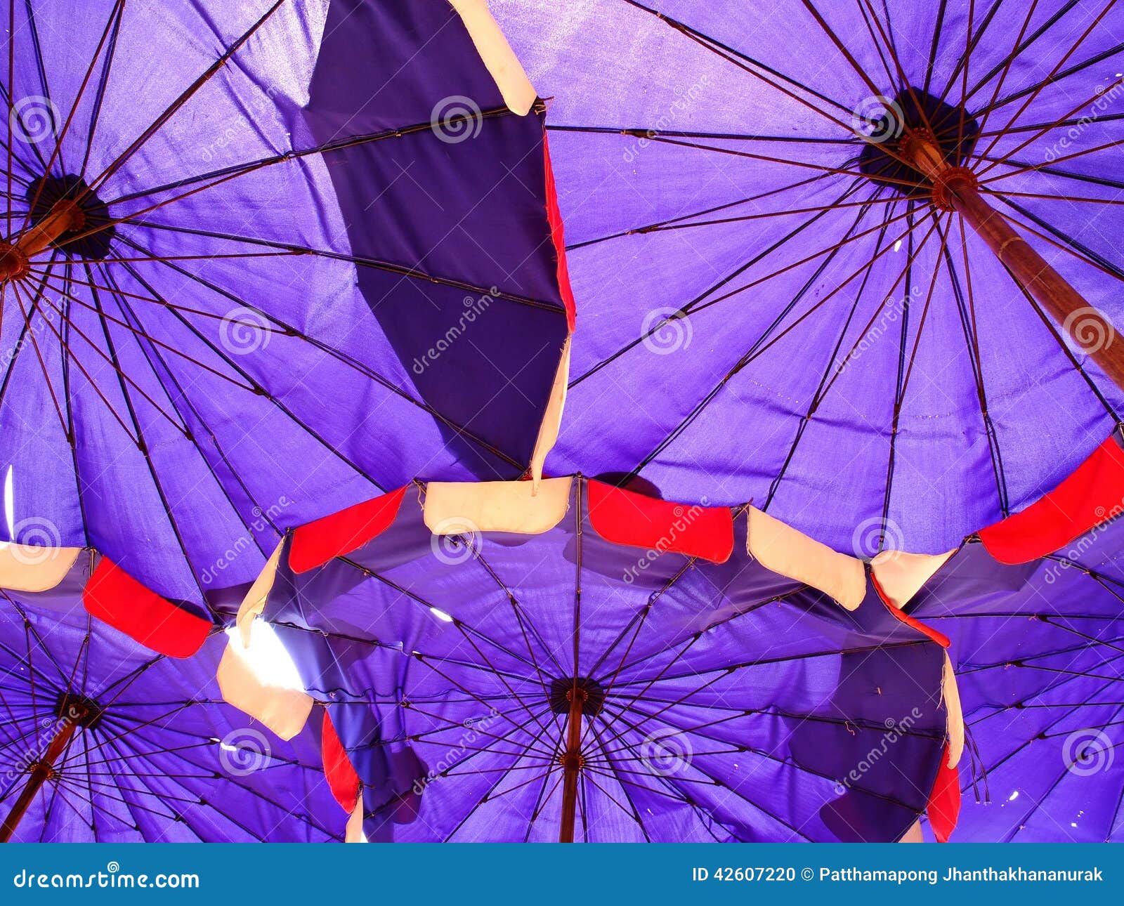 Purple umbrella stock photo. Image of sand, holiday, trip - 42607220