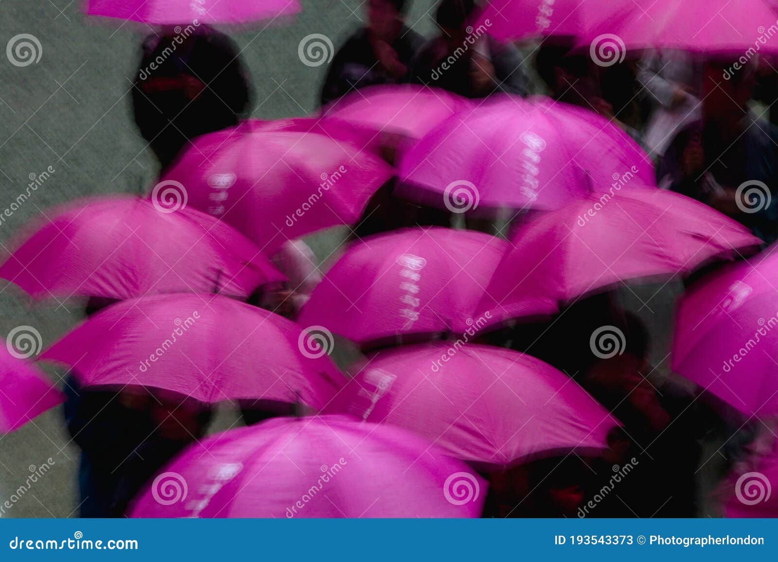 Purple Umbrellas in the Rain Stock Image - Image of purple, blue: 193543373