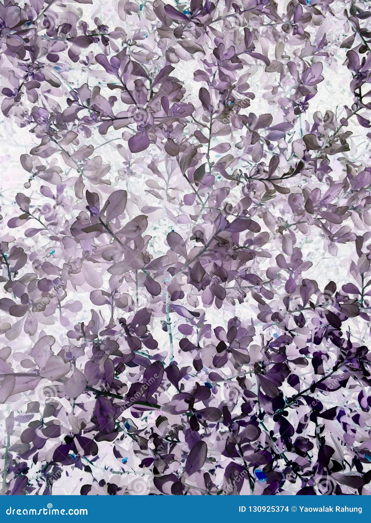 Purple or Violet Texture Pattern Background, Violet Ultra Concept Stock ...