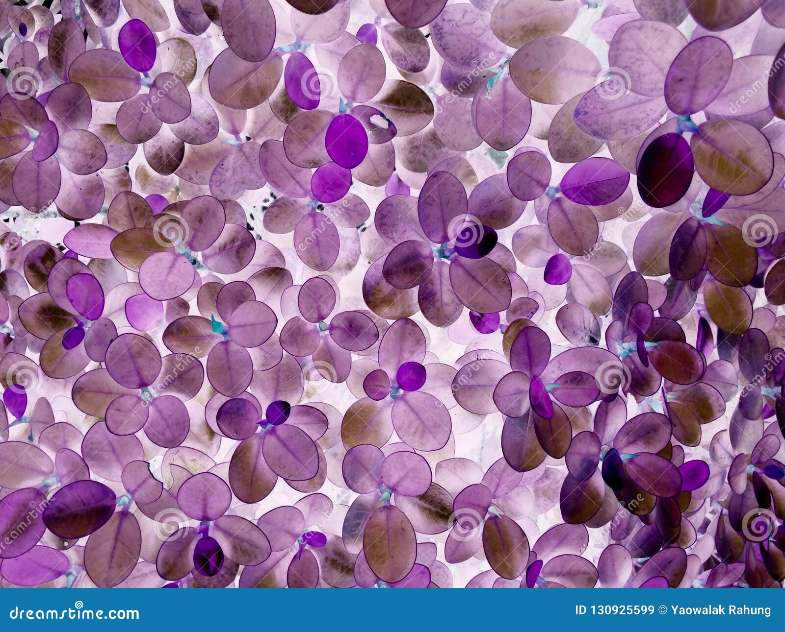 Purple or Violet Texture Pattern Background, Violet Ultra Concept Stock ...