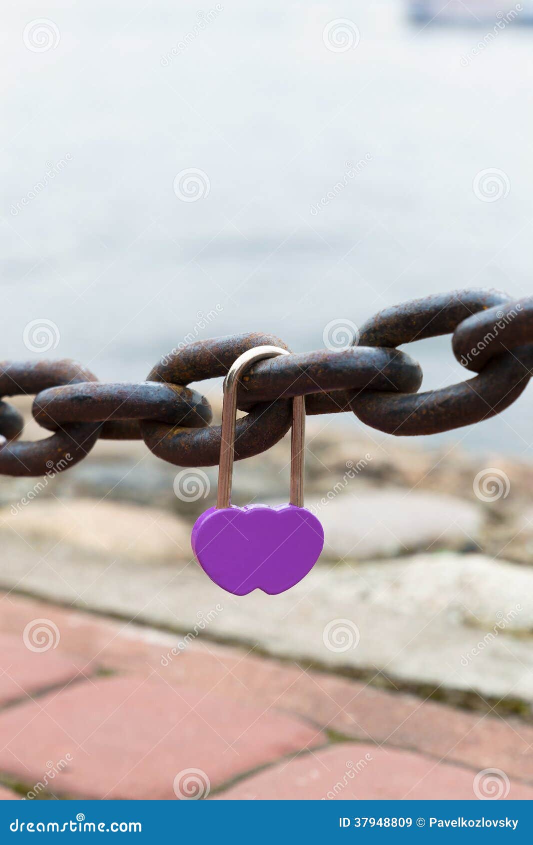 Purple Wedding Lock Hanging Stock Image - Image of hang, culture: 37948809